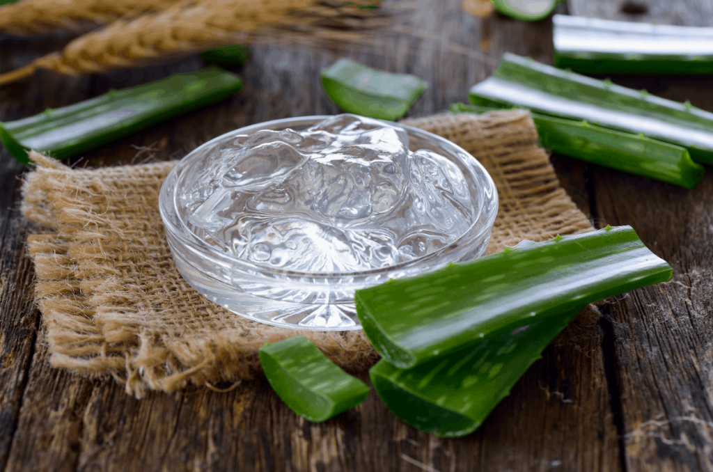Expired Aloe Vera Gel- The Magic Wears Off | Green Living Zone