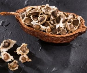 How To Take Moringa Seeds? | Green Living Zone