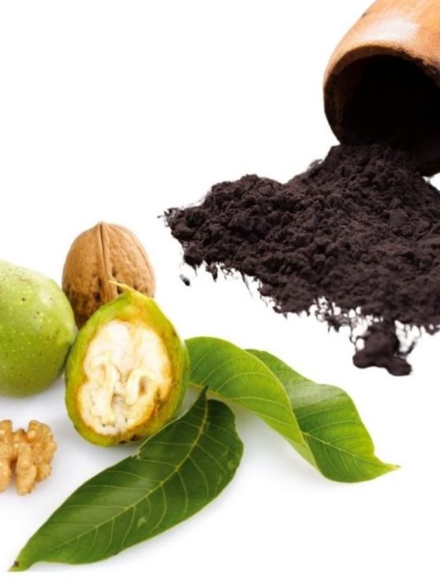 A Step By Step Guide On Using Black Walnut Hull Powder - Green Living Zone